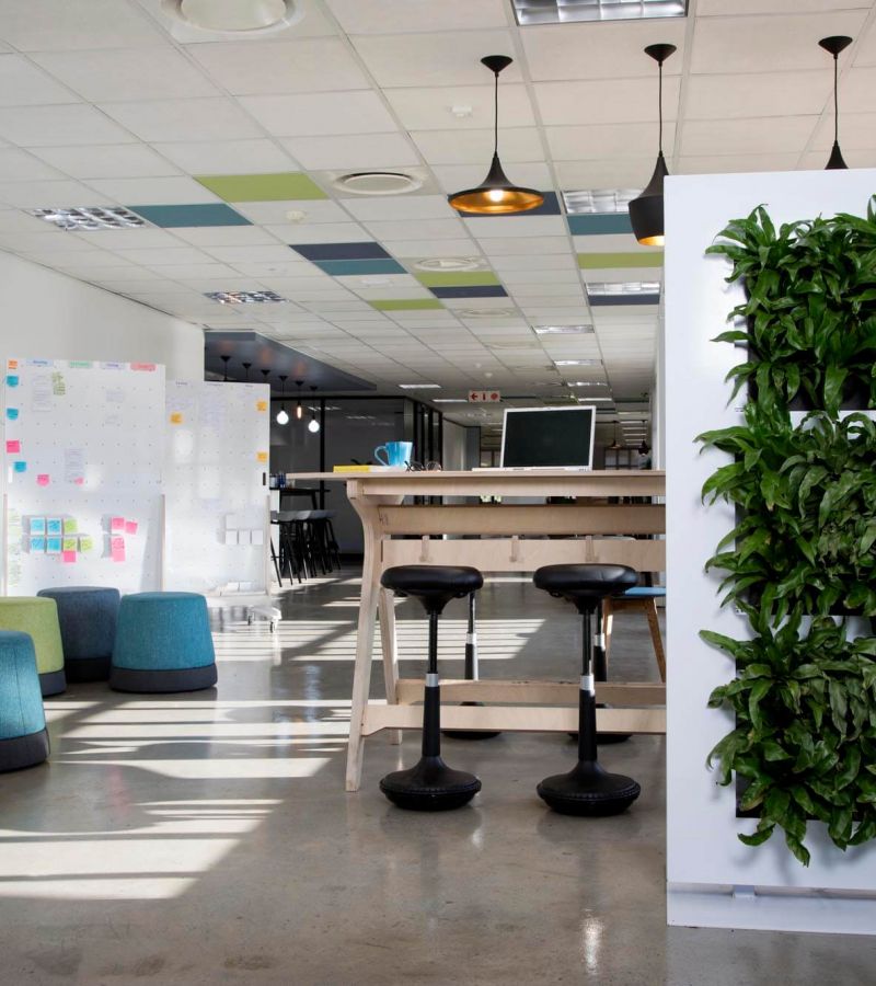 Pyramid Office - Projects